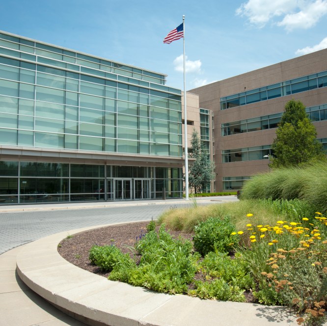 Taloudelliset suhteet - MSD Finland