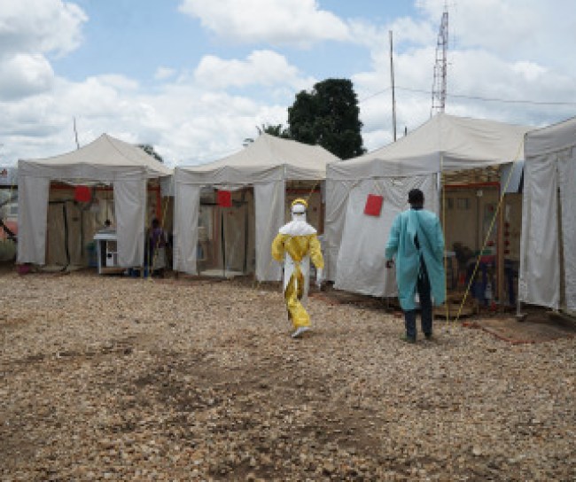 Historia - MSD Finland