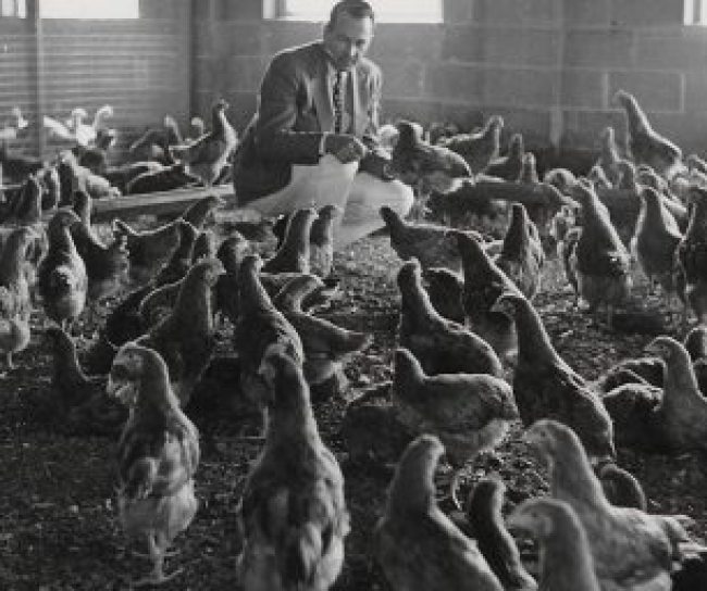 Historia - MSD Finland