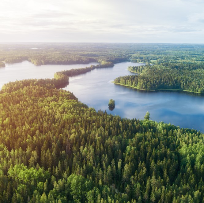 MSD Suomessa - MSD Finland