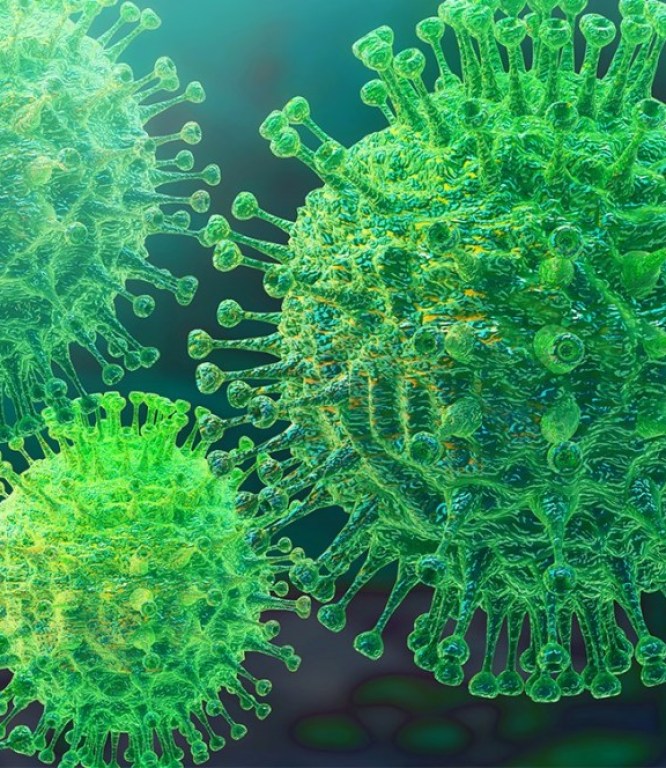 Etusivu - MSD Finland